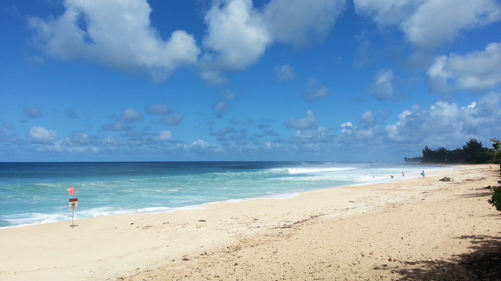 Hula Hālau 'O Kahelelani – 椎名町フラサークル